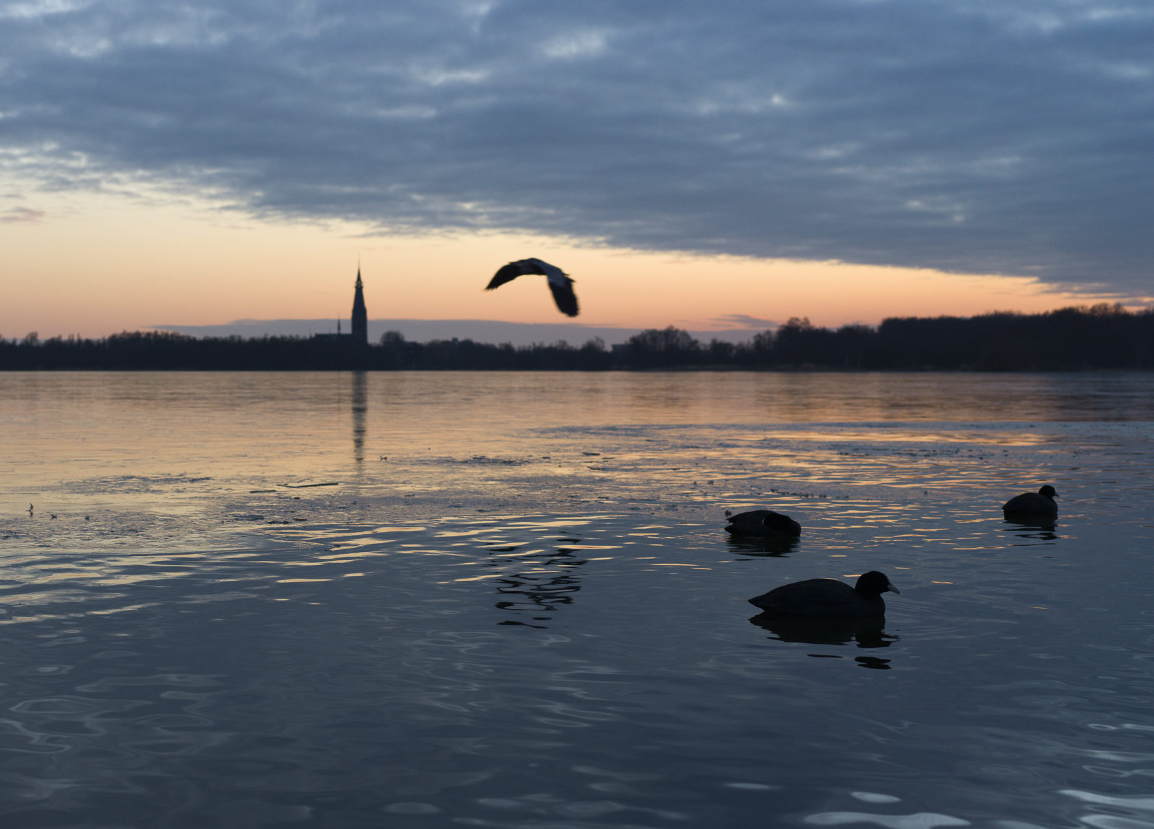 Fotoboek toont mooiste momenten van vier seizoenen Amstelveense Poel ...